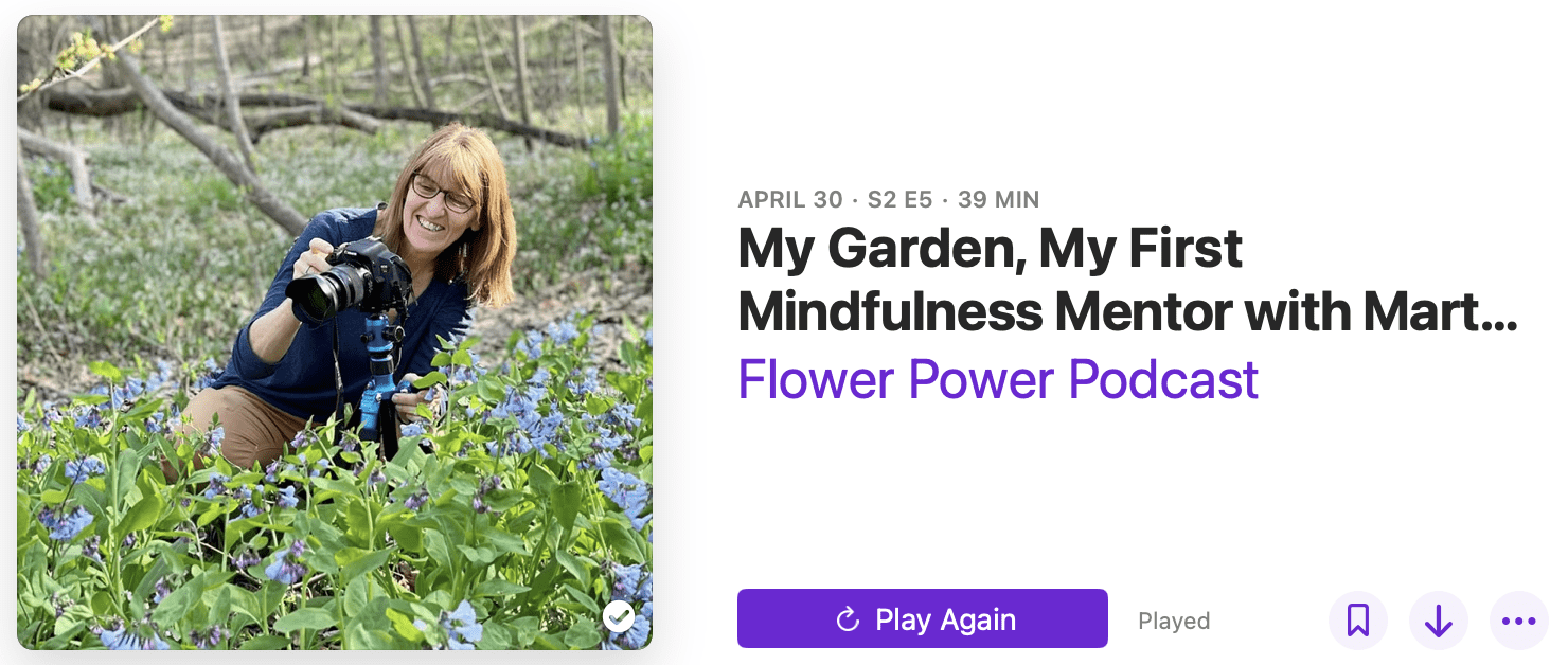 Flower Power Podcast With Lisa Waters - Damselwings | Martha Brettschneider